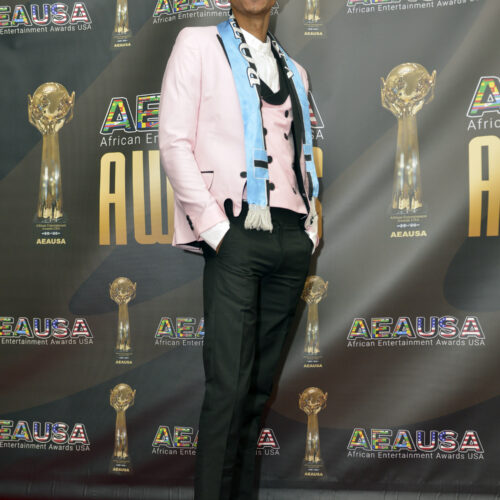 African Entertainment Awards, USA | Through entertainment, we are ...
